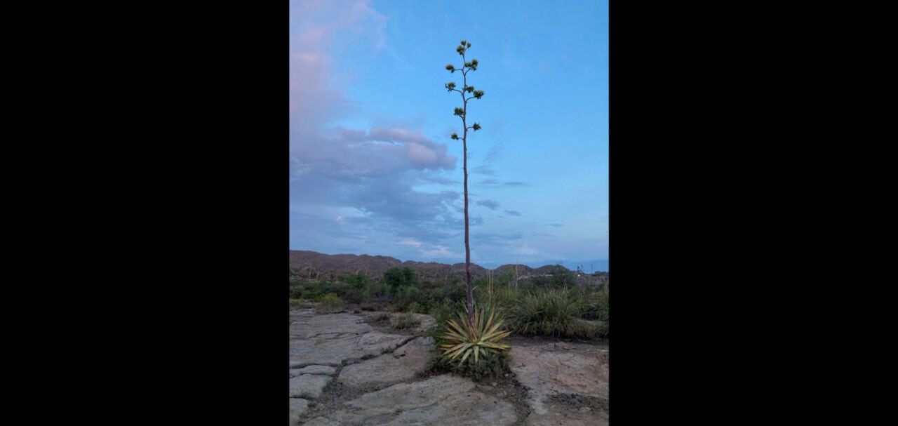 A Feast of Joy in uncertain Times: A Women's Retreat with Anita Amstutz ...
